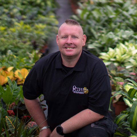 About - Opperman Plants Ltd